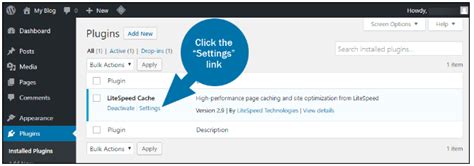 Learn To Enable LiteSpeed Cache For WordPress Web Hosting FAQs By