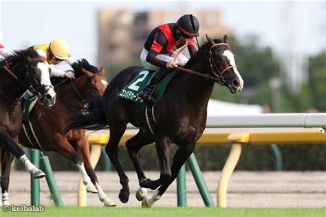 【ホープフルs】複勝率50超え！混戦でも信頼の鉄板級本命馬 競馬ニュース 競馬ラボ
