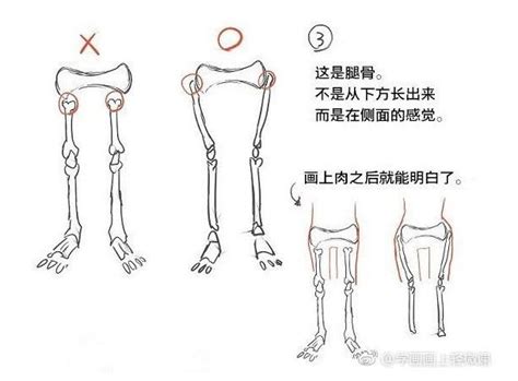 【超详细】零基础动漫人体绘画教学！ 知乎