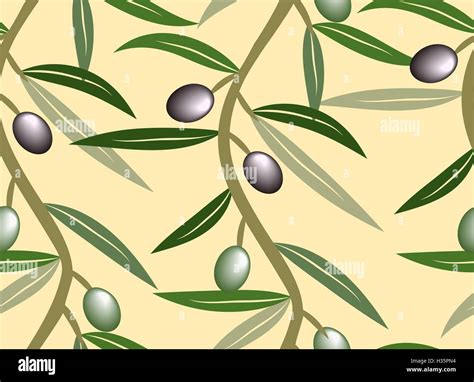 Vector Olive Branch Background Stock Vector Image And Art Alamy