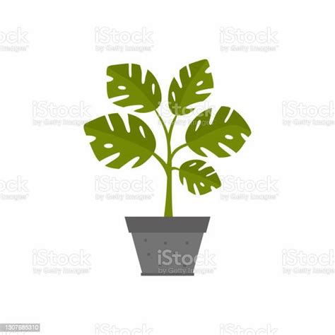 냄비와 몬스터 잎의 벡터 플랫 일러스트 내부 집 이나 사무실 장식에 대 한 실내 화분 장식 하우스 식물 흰색 배경에 고립 된 녹색 정원 꽃 아이콘 귀여운에 대한 스톡 벡터