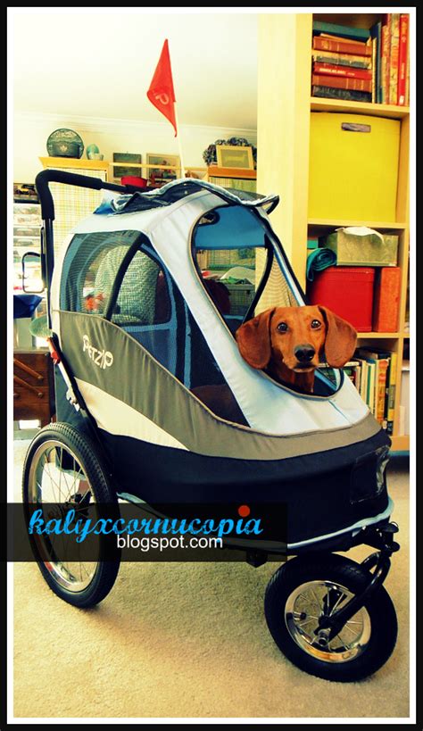 Kalyxcornucopia Me Likey Dat