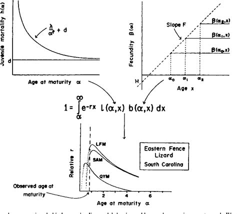 Download Semantic Scholar