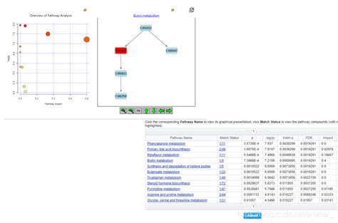 Metabo Analyst使用教程 Pathway Analysis模块metaboanalyst热图教程 Csdn博客