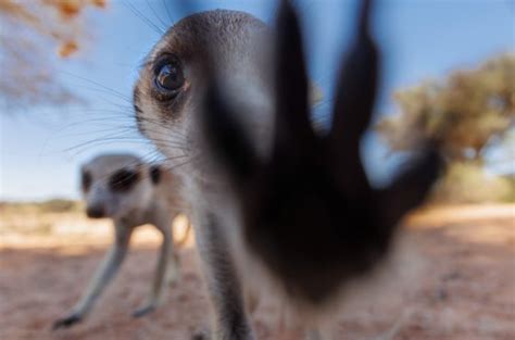 Composition In Wildlife Photography Getting Creative Nature TTL
