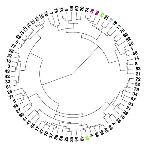 dendrogram of topic correlations for the filtered corpus numbers