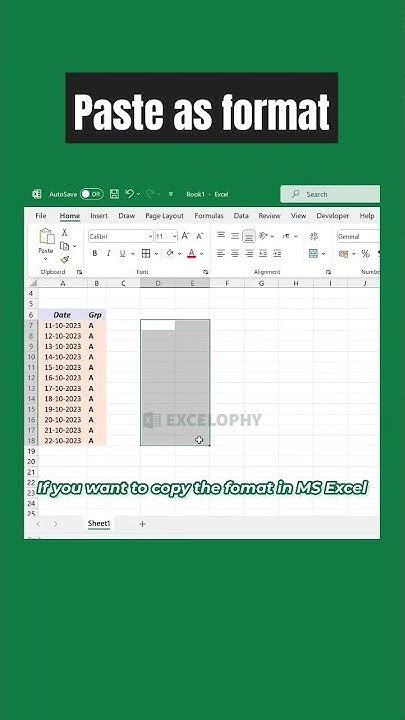 two alternative tricks for format pasting in excel sheet excelophy
