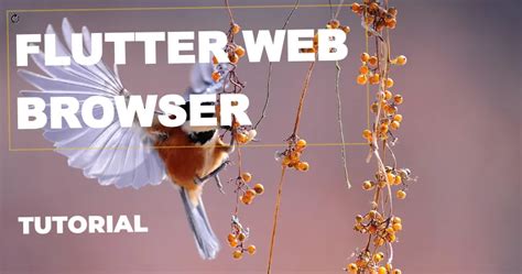 Flutter MEDevel Com Your Guide For Open Source Healthcare And Education
