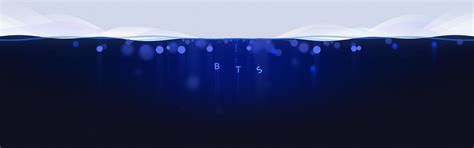 Webflow No Code Behance