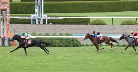 【2023 京都大賞典（g2）】日刊馬番コンピ指数分析予想篇｜haya