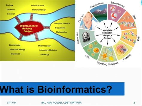 1bioinformatics Introduction 32032071