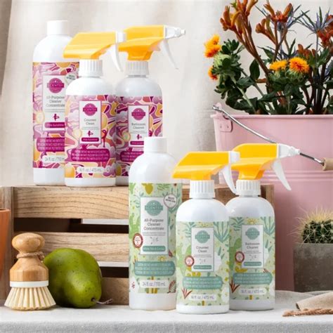 Pink Sunshine Scentsy Clean Bundle