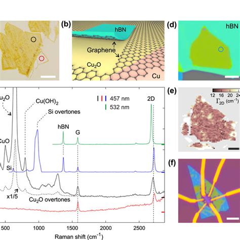 Device Fabrication A Optical Image Of Cvd Grown Graphene Gr