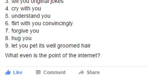 Whats The Point Of The Internet Imgur