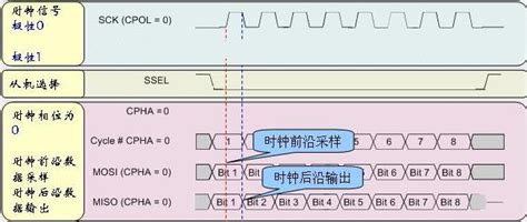 详解spi时序及cpol、cpha设置判断说明（判断外设的时序） 外设时序 Csdn博客