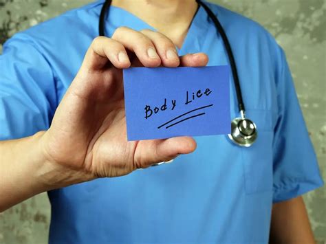 Differences Among Head Lice Body Lice And Pubic Lice Licedoctors