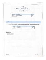 Week Lab Bios Pdf Kidney Week Lab Instructions Urinary
