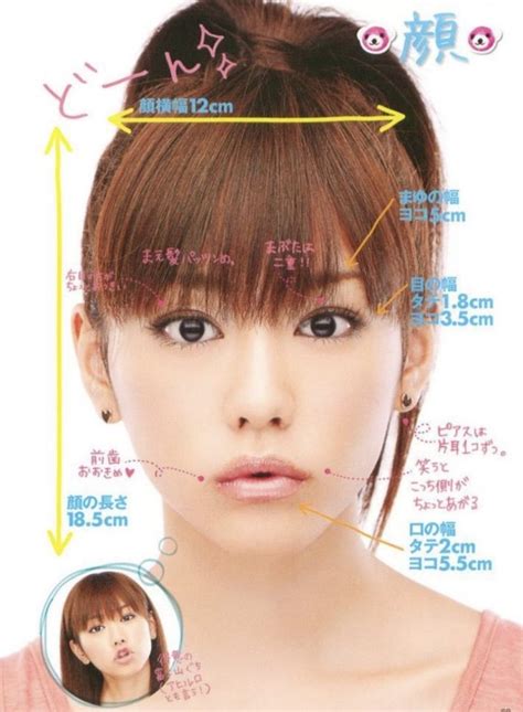 小顔の芸能人女性・顔の長さ・顔の大きさ比較画像｜美人が教えてくれたこと