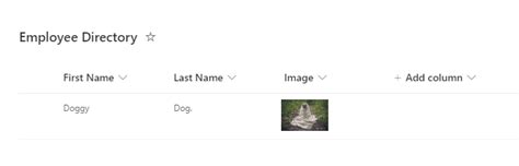 employee directory in sharepoint online tim s blog