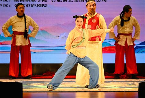 庐腔皖韵传经典 徽院美育谱新篇——合肥庐剧院走进徽商职业学院 院团委