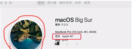 怎么看mac是arm 还是x 阿飞afei 博客园