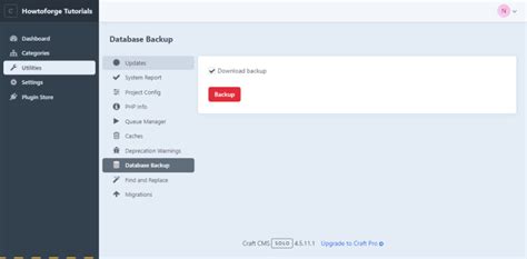 Cómo Instalar Craft Cms En Debian 12 Howtoforge