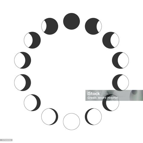 Ilustración De Contornear Las Fases Lunares Calendario Ciclo Lunar