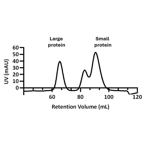 Size Exclusion Chromatography Size Exclusion Chromatography
