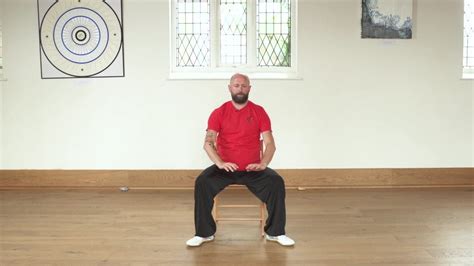 Seated Qigong Follow Along Lesson White Crane Online