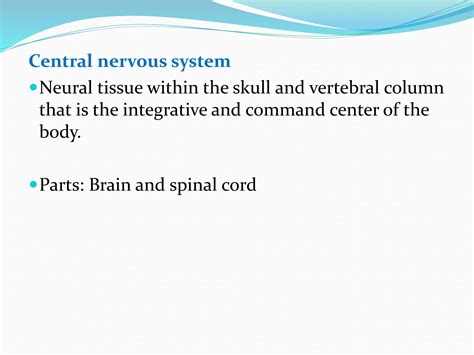 Solution Physio Lecture One Neuro Anatomy Studypool