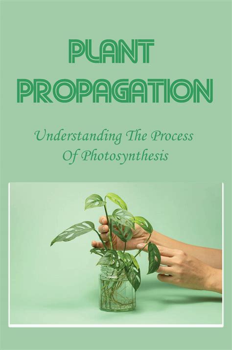 Plant Propagation Understanding Thе Process Оf Рhоtоѕуnthеѕіѕ By