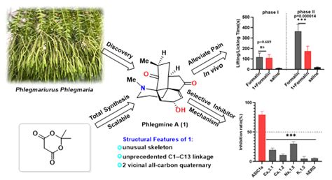 昆明植物所在石松生物碱新骨架的发现与合成研究中取得新进展 生物通