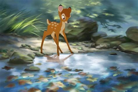 Le Conte De Bambi Est Une Tragédie Juive 24 Heures