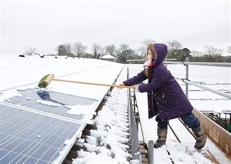 Save Your Solar Investment With Solar Panel Snow Guards