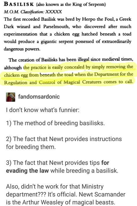 Pin By Emilia C On Harry Potter Stuff Harry Potter Jokes Harry