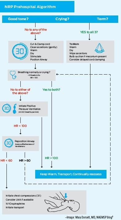 Managing Newborns In The Field