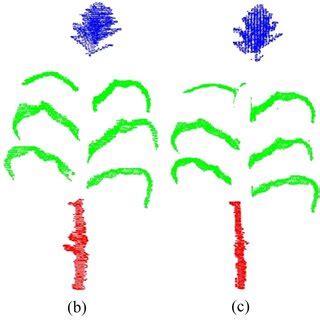 Pdf Deep Learning Based Plant Organ Segmentation And Phenotyping Of