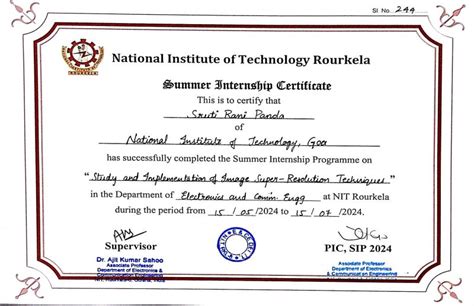 Sruti Rani Panda On Linkedin Internship Deeplearning