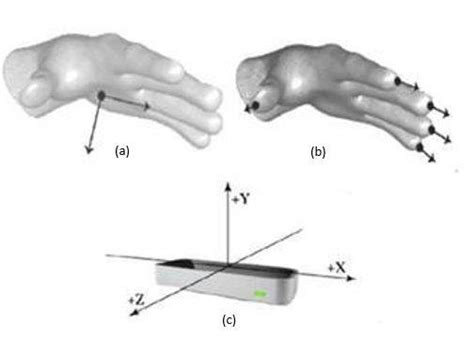 Hands Model And Leap Motion Coordinate System A Left Hand B Right Download Scientific