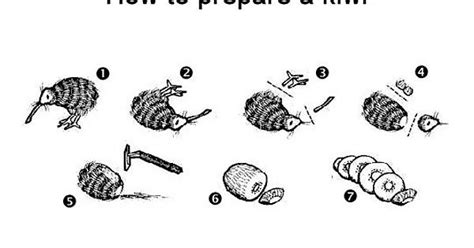 How To Prepare A Kiwi Imgur