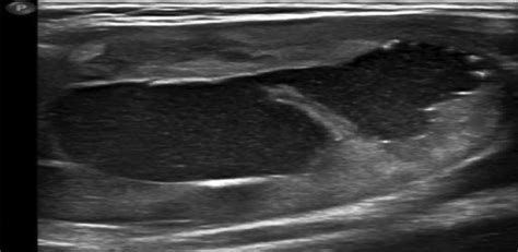 Current Medicine Research And Practice