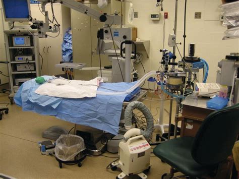 Anesthesia for Ophthalmic Patients | Veterian Key