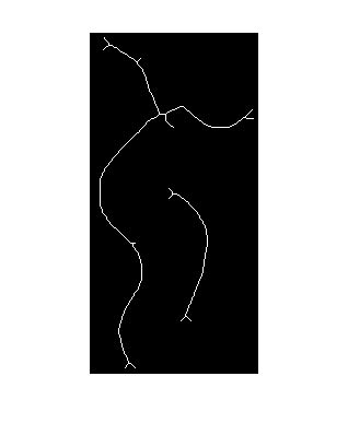 Image Processing Open Source Implementation Of 3D Thinning Algorithm