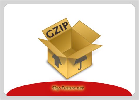 La Compression Gzip Optimiser Wordpress Partie 1 Sky Future