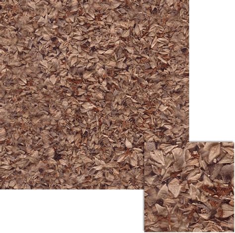 Synthesis Result For A Sample Texture Download Scientific Diagram