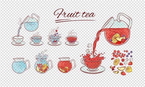 벡터 차 생성자 과일 Brew 프로세스 합니다 확인 하 고 투명 한 컵에 부 어 다른 열매와 향기로운 음료 뜨거운 또는 감기 스케치 세트 컬렉션 손으로 그린 그림 0명에