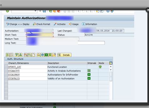 Roles And Authorization On Hierarchy In Sap Bw 7 4 Sap Community