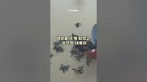 시아버지가 이혼한 며느리를 생각한 이유 Youtube