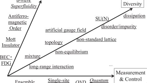 Achievements And Future Directions Of Optical Lattice Quantum