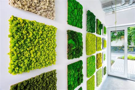 Стабилизированный мох декор 21 фото